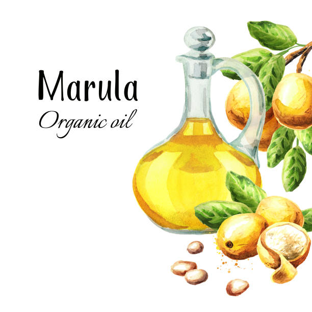 Drunk Elephant Marula Oil: The Ultimate Elixir for Glowing Skin ...